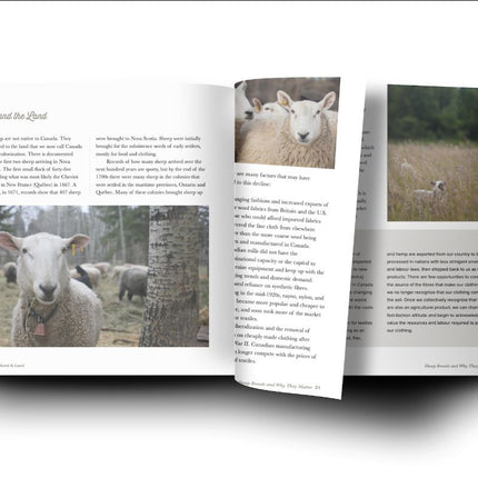 Sheep, Shepherd & Land – STATEMENT JUNKIE YARN CO.