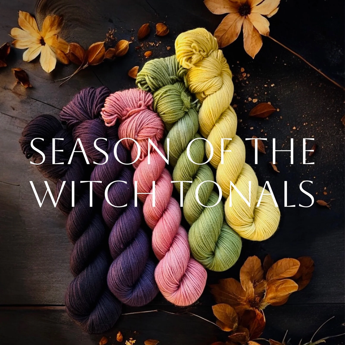 Season of the Witch | Half Skein Tonal Set in Fingering Weight ...